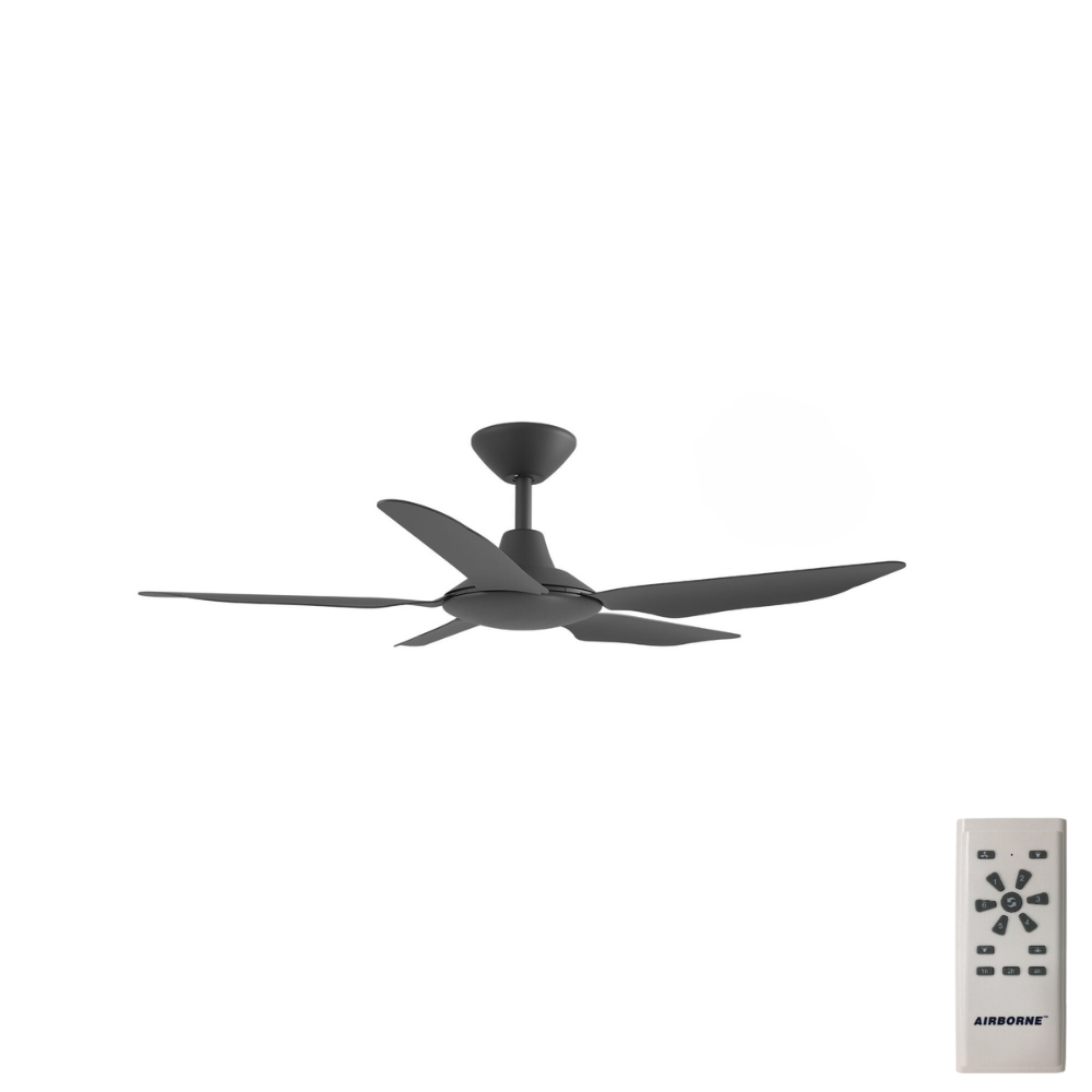 Calibo Storm DC Ceiling Fan 42 inch. Black | Universal Fans